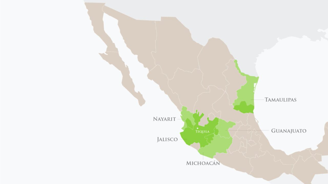 Academia Patrón | The Official Denomination of Origin