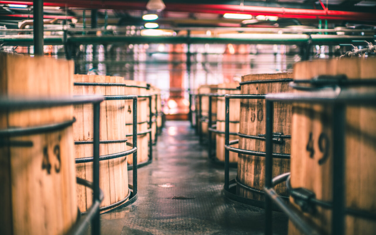 Academia Patrón | Making Tequila