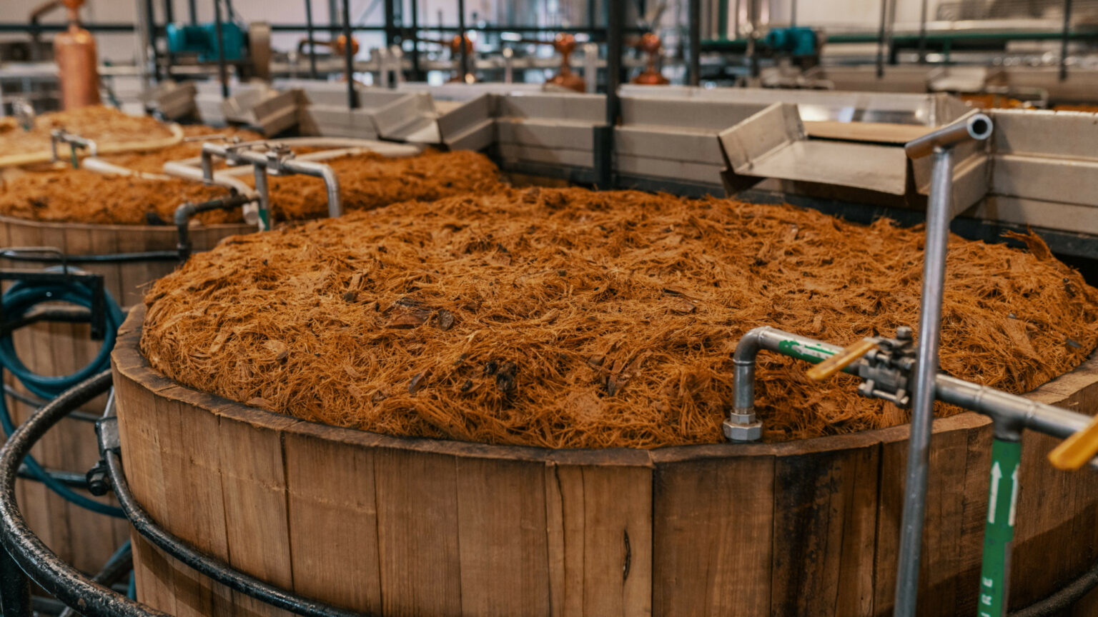 Academia Patrón | Tequila Production