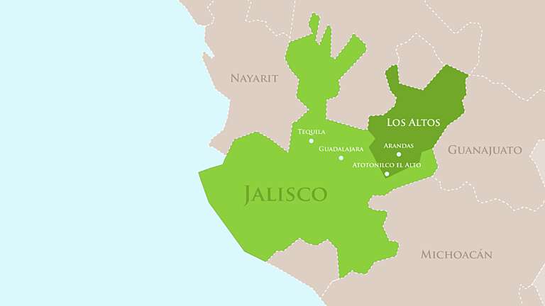 Academia Patrón | Where Agaves Grow