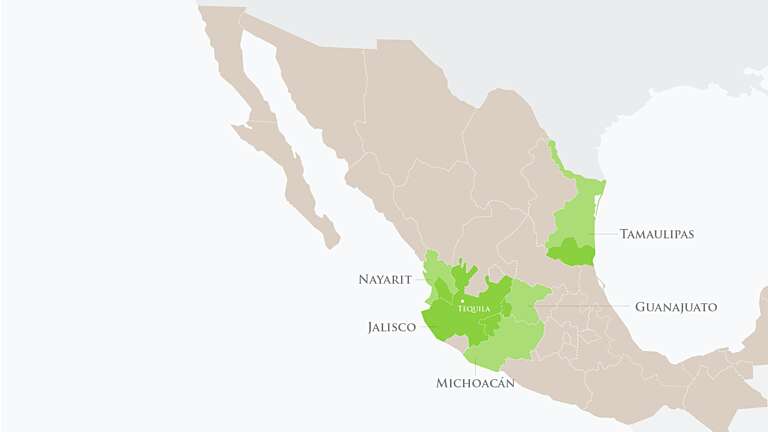 Academia Patrón | Introduction to Tequila
